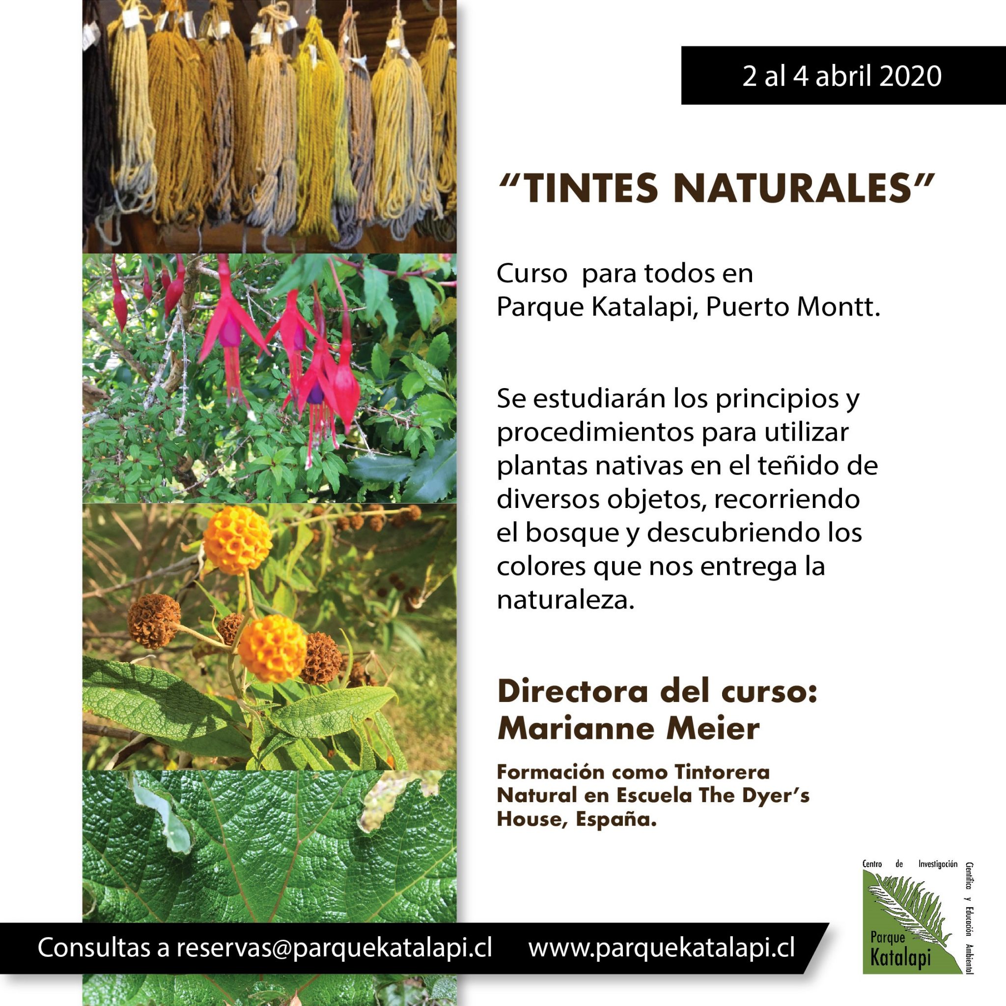 Tintes Naturales: Un práctico curso para disfrutar el bosque de Katalapi Tintes Naturales: Un práctico curso para disfrutar el bosque de Katalapi